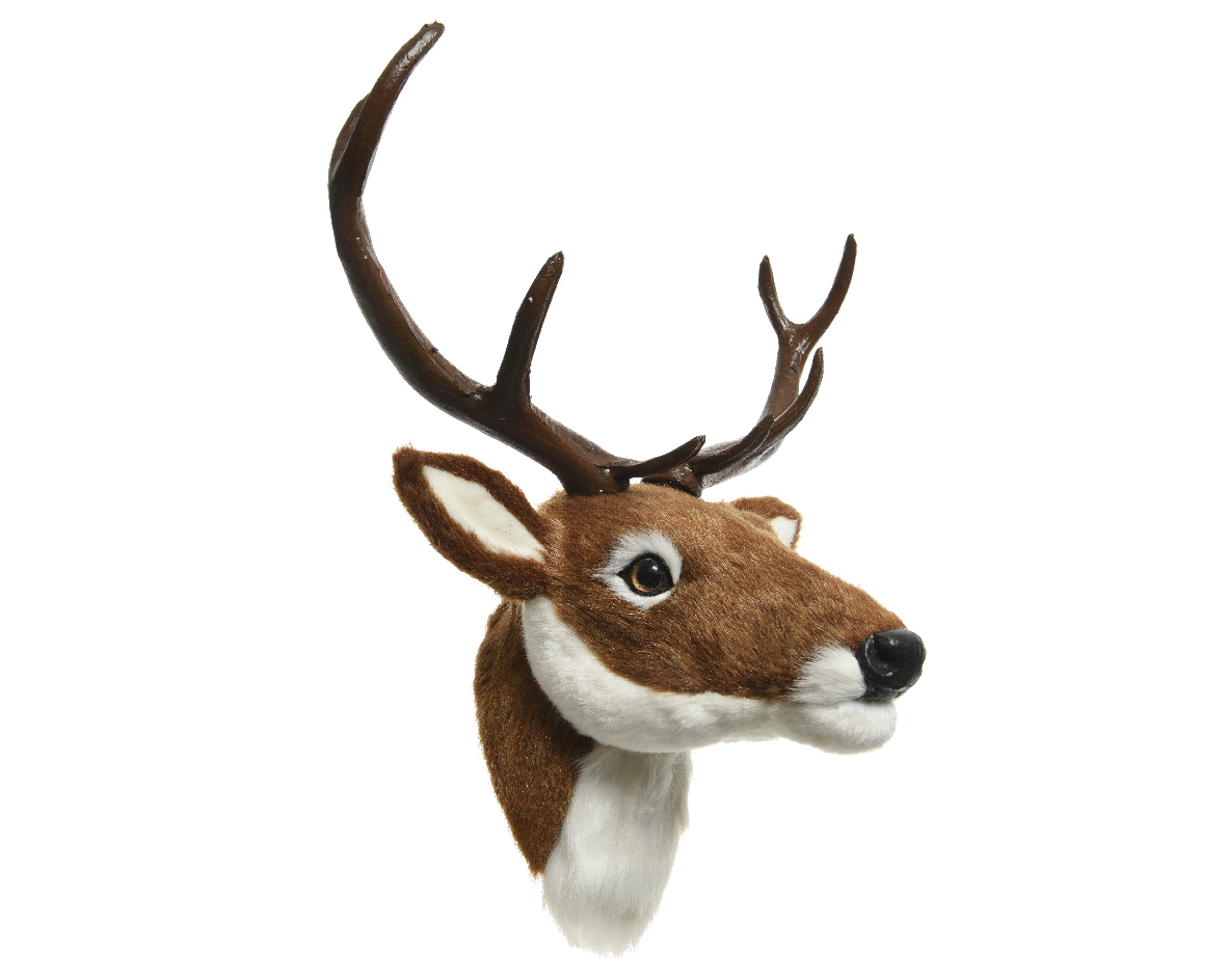 Reindeer Head With Antlers – Wehbeh Land