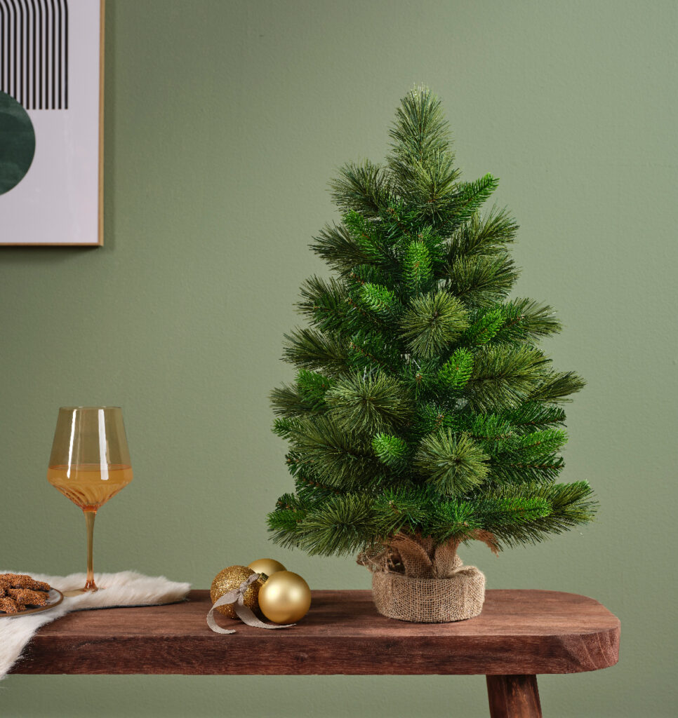 Edmonton Spruce Mini Tree – Wehbeh Land